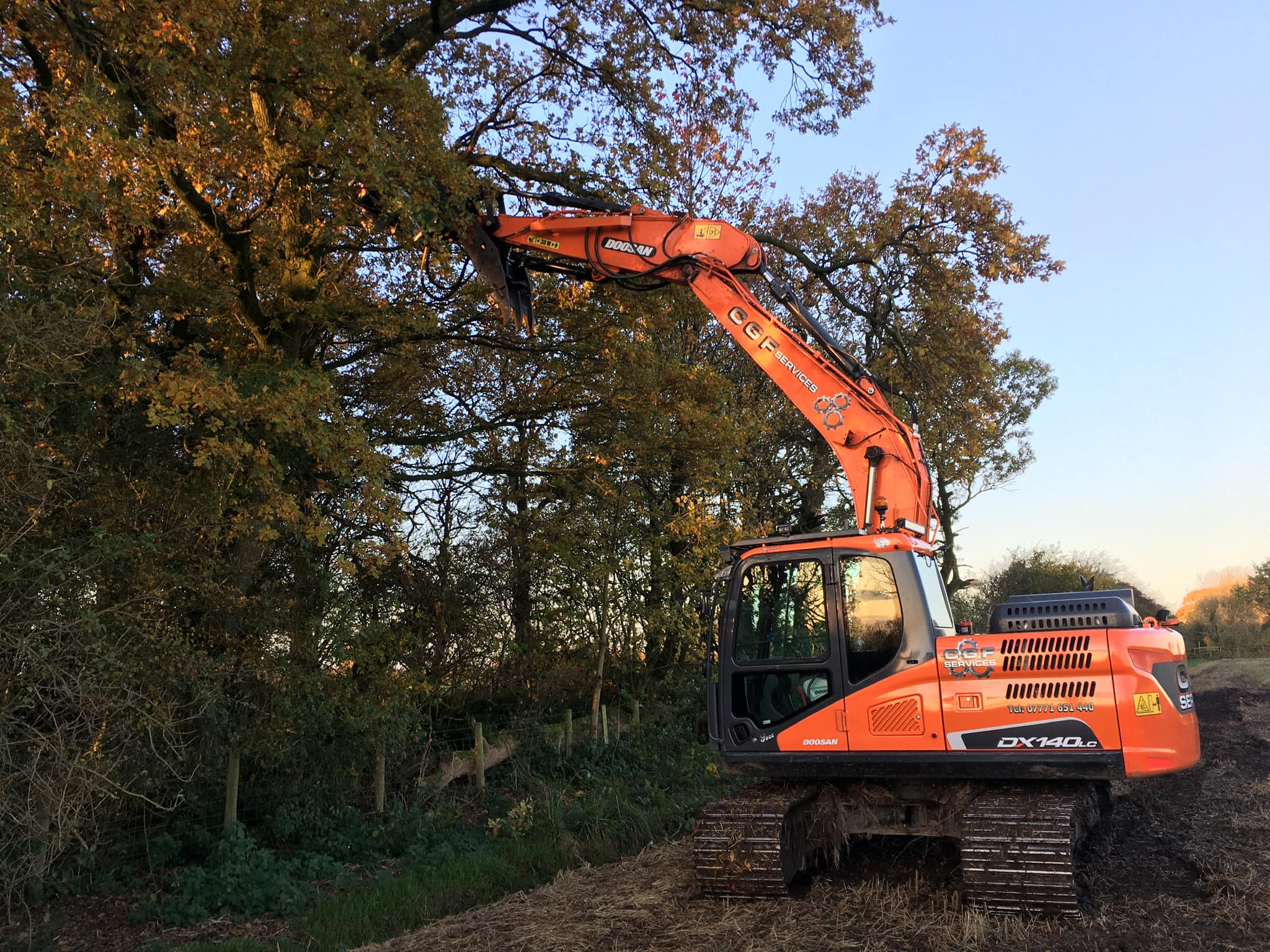 Tree Shearing & Mulching – CGF Services